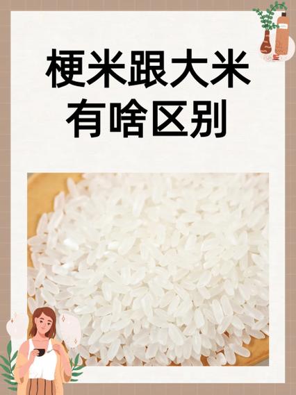 梗米是啥米啊截图