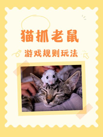 老鼠偷粮食被猫抓作文