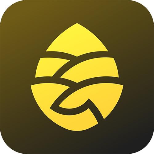 松果出行app下载图标