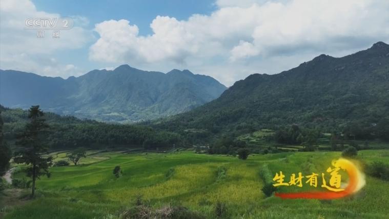 生财有道在线观看图标