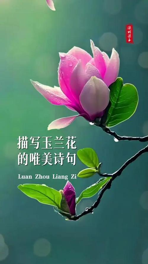 有关鲜花的短句子图标