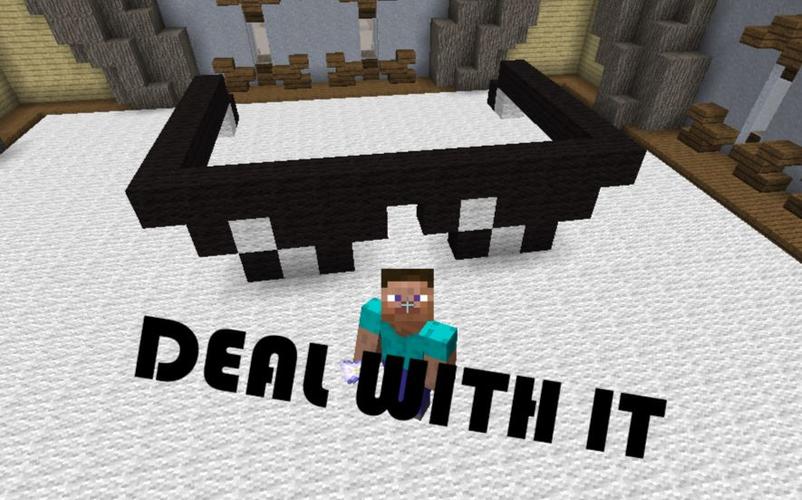 minecraft领域服进不去图标