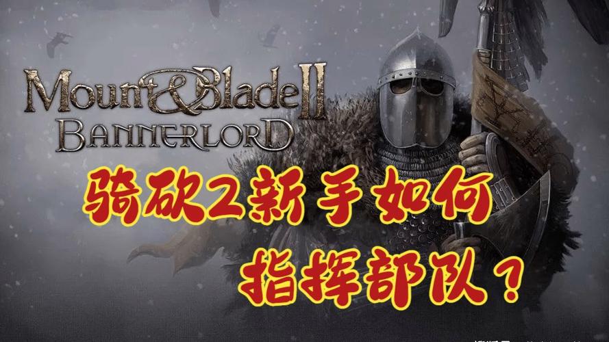 骑砍二怎么让部队自由攻击图标