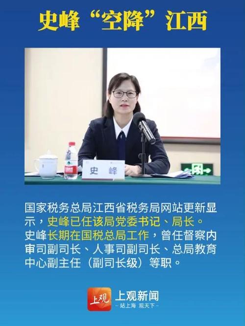 江西省税务局图标