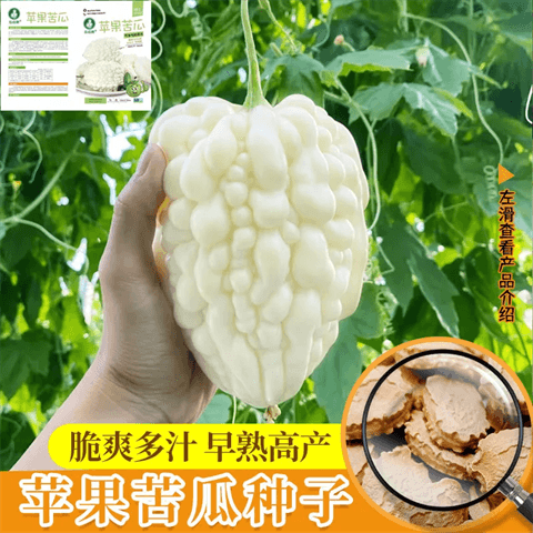 台湾apple图标