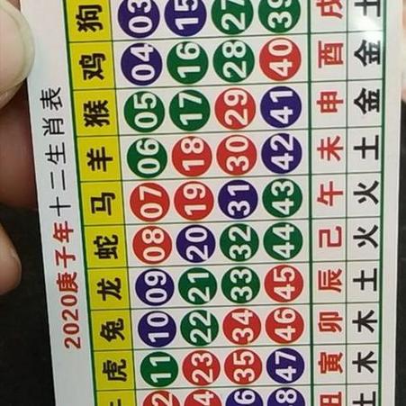 买十二生肖买马的网站图标