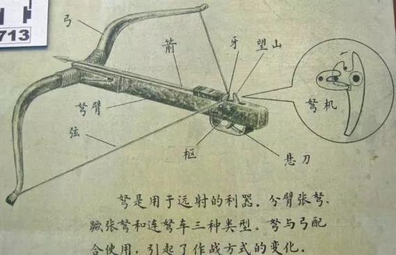 弩的正确使用方法截图