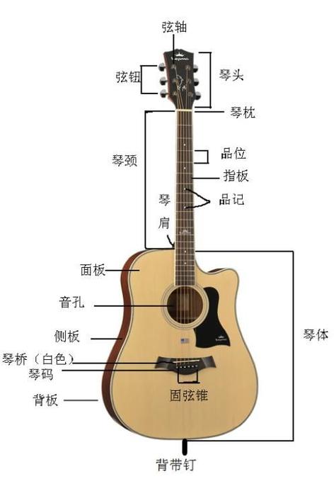 吉他入门零基础自学图标