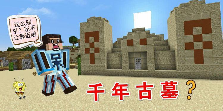 mc呆呆生存记图标
