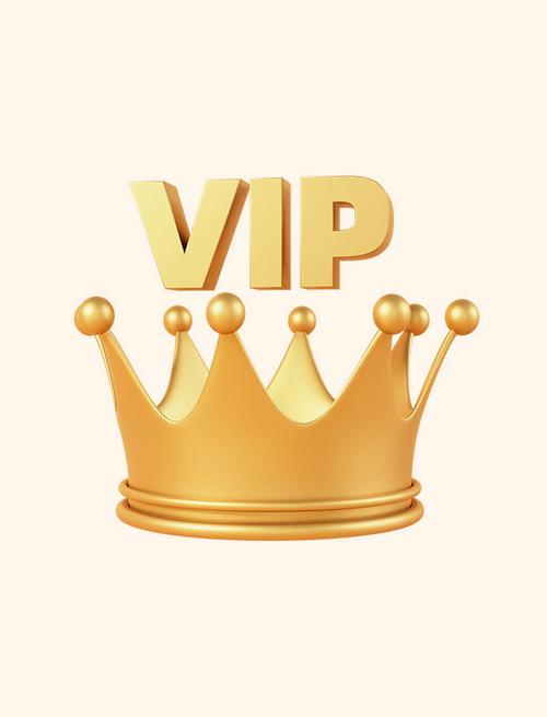 永久VIP图标图标