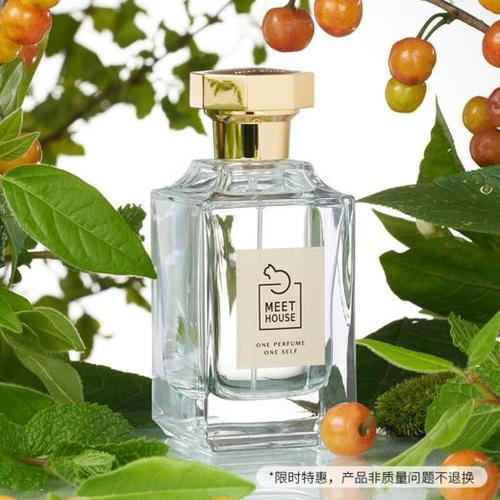 加拿大甜心樱桃图标