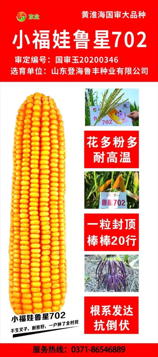 玉米种子大全厂家批发图标