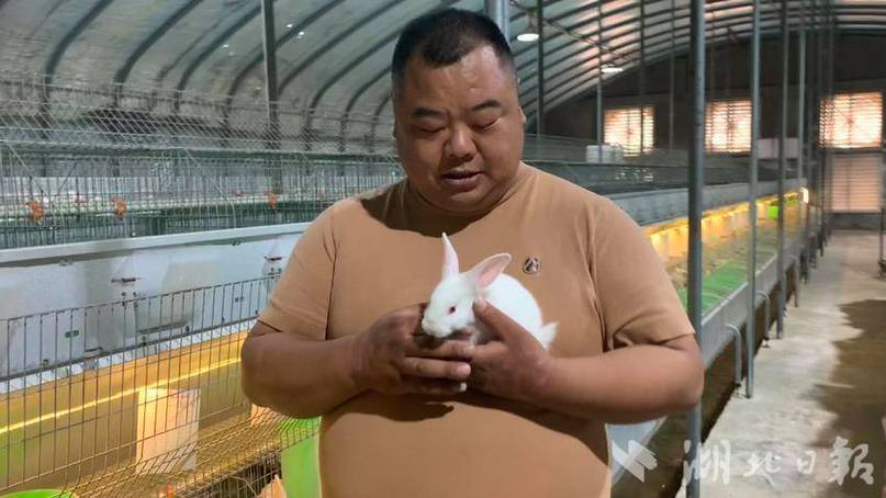 养兔一年能赚多少钱图标