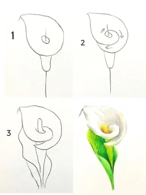 零基础彩铅画入门教程图标