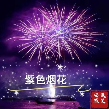 紫色烟花歌词寓意图标