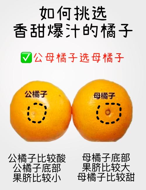 什么样的橘子甜怎么挑图标
