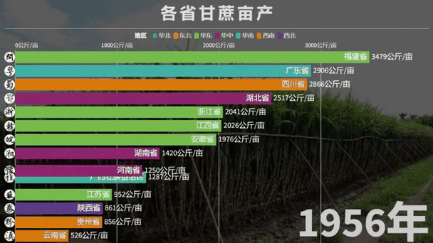 甘蔗亩产最高纪录图标