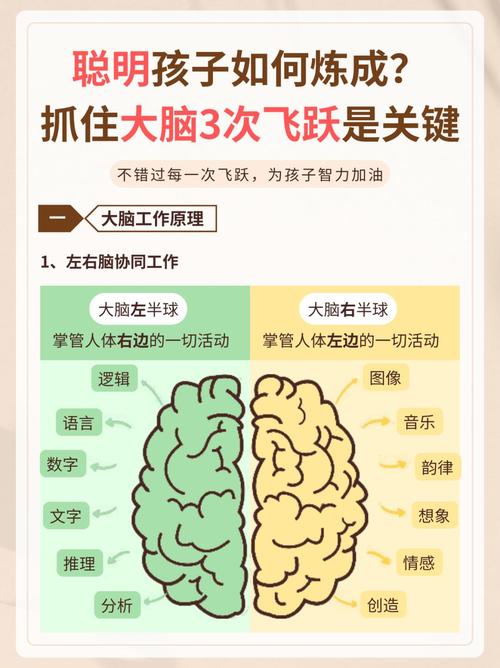 烧脑思维图标