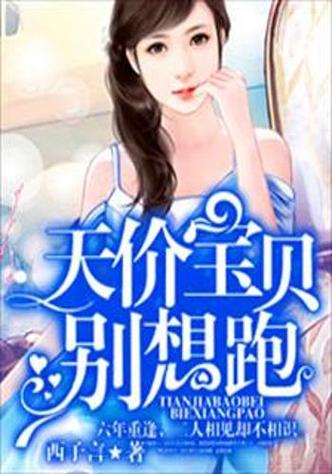 总裁的天价宝贝全文小说全免费阅读截图