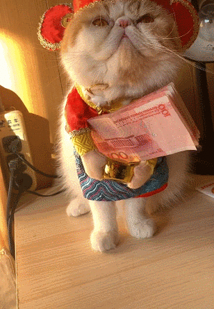 小猫赚钱图标