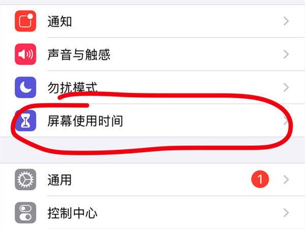 ipad 访问限制图标