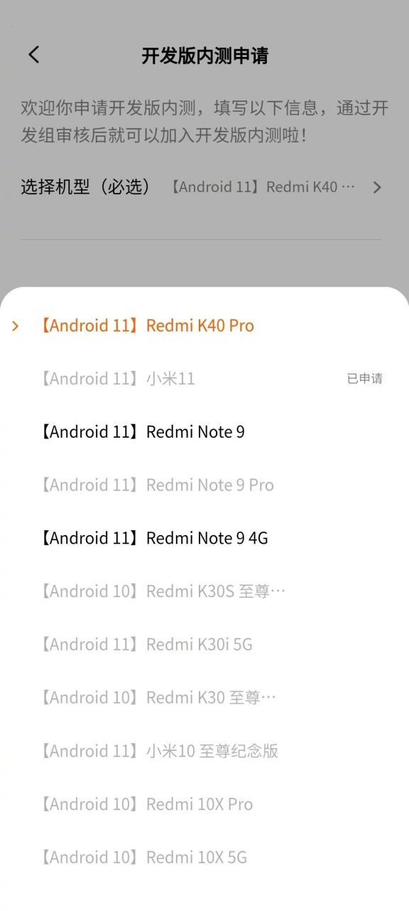 k40开发版公测下载图标