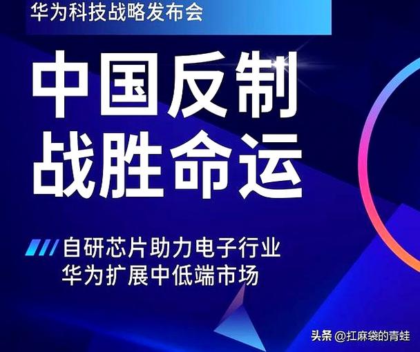 对于华为突围的领悟