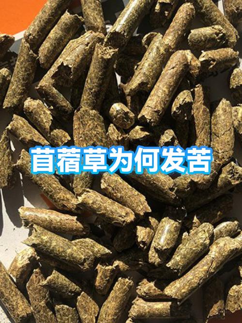 苜蓿草是三叶还是四叶图标