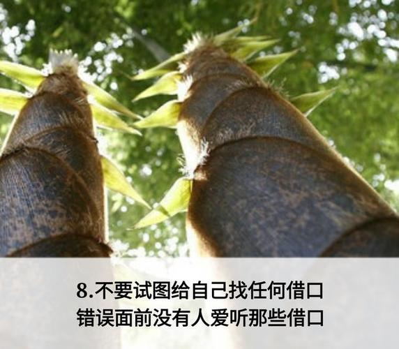 谈客故事在线阅读图标