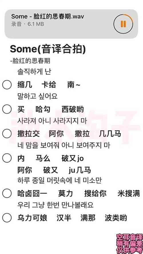 some音译图标