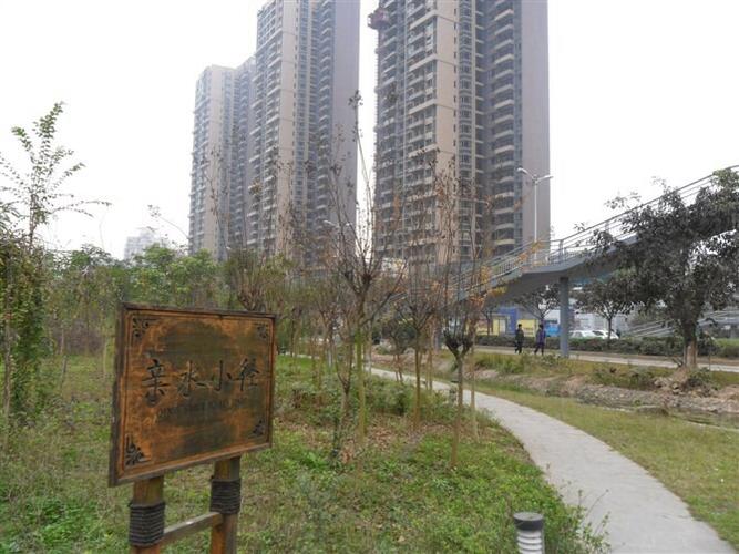 发财路,往南方打一数字图标
