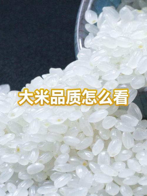 大米日期越新越好吗