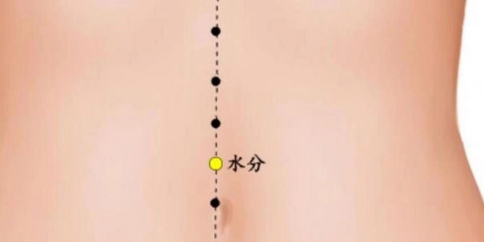 水喝到身体里去哪了图标