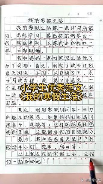 愉快的寒假作文二年级截图