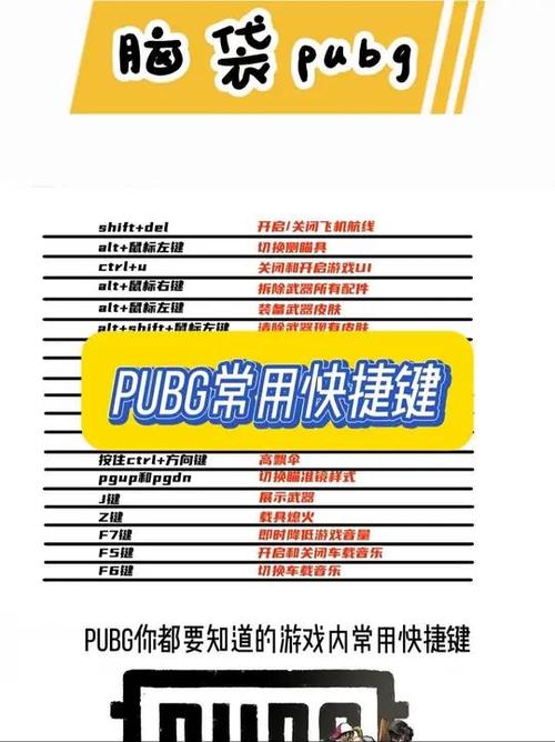 pubg玩多久算入门图标