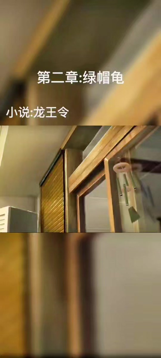 男主角叫陈平的小说图标