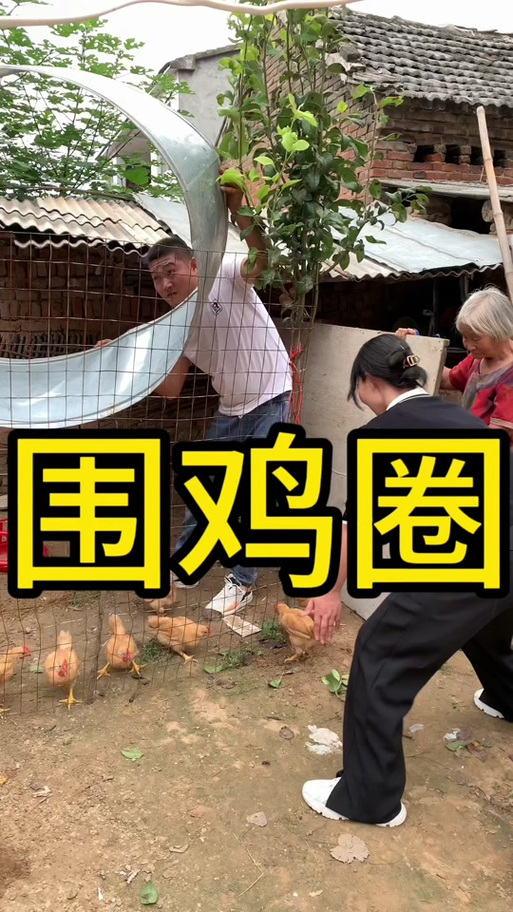 支付宝小鸡攻略截图