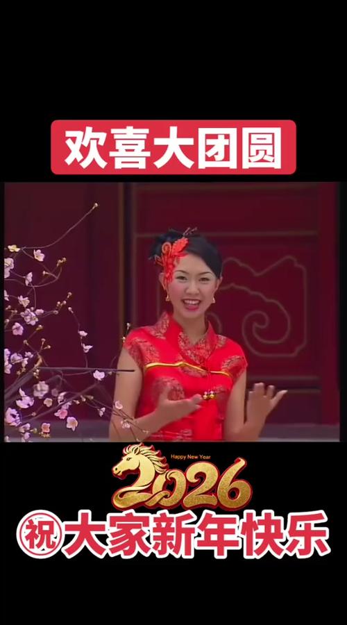 欢喜大团圆截图