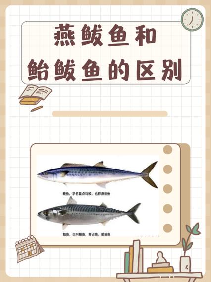 青鱼与鲭鱼的区别图片
