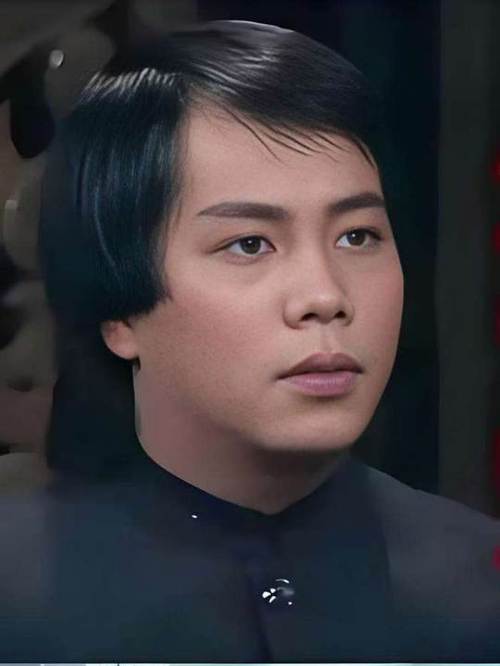 梁小龙《陈真》图标