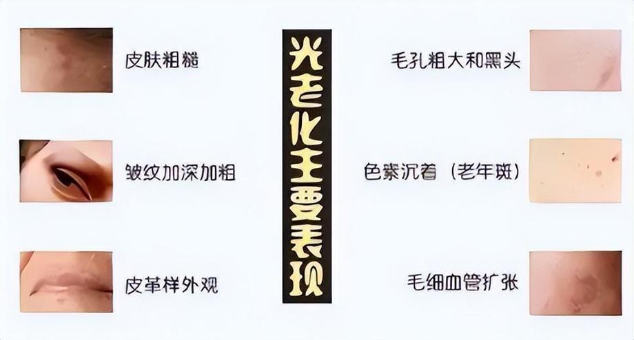 比同龄人显年轻的原因图标