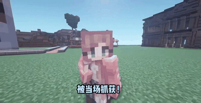 我的世界不灵不灵姐截图