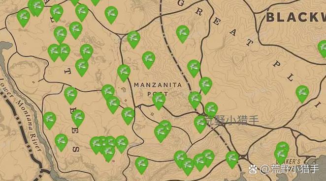 荒野大镖客2不能在罗兹惹事怎么过截图