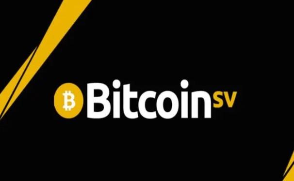 bsv币发行价图标
