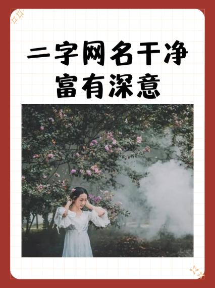 关于人生经历网名