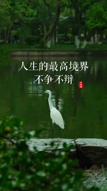 做人的最高境界(精辟)