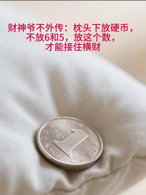 枕头下放几个硬币最好图标