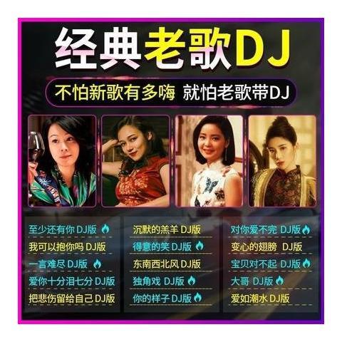 dj经典老歌串烧中文歌曲截图