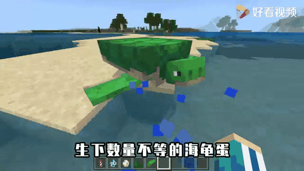 mc海龟下蛋需要多久图标