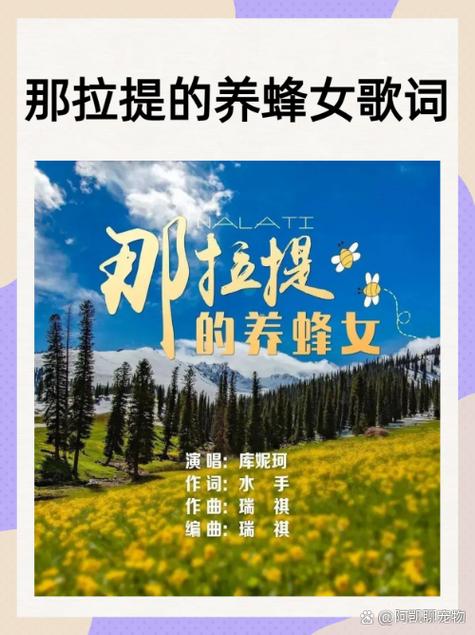 拨号模式和路由模式哪个好图标